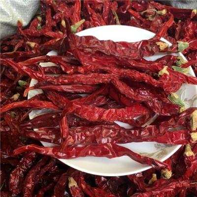 China 4 - 7cm Dried Red Chilli Peppers 99% Pure In Cool And Dry Place 50000 SHU for sale