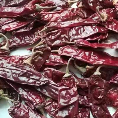 Cina 8000-12000shu Paprika Hot Pepper Smooth Texture dolce alto Colleen Fitzpatrick in vendita