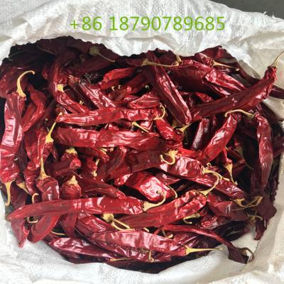 Cina Peperoncini secchi alla paprika rossa affumicata provenienti dalla Spagna per cucinare e aromatizzare in vendita