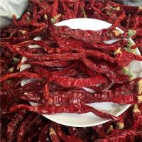 Chine Piments rouges séchés sans tiges ou coupés à la tige 99% de pureté avec une forte saveur piquante à vendre