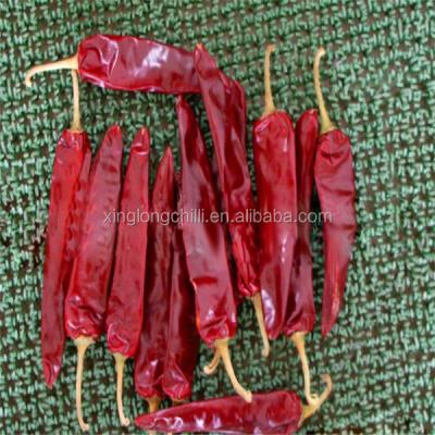 China Pimentões secos de Guajillo 500SHU suave para marinadas à venda