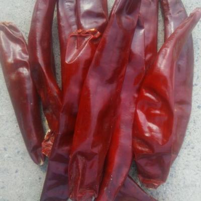 Cina 8% di umidità Chili Taglio anulare forte Sapore di chili pungente Alto lucidato 0,5 - 1,5 cm in vendita