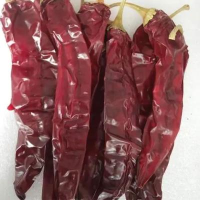 China Spice up your dishes with mild chili powder - Fine powder texture - Spice up your dishes with mild chili powder - Fine powder texture - Spice up your dishes met mild chili poeder - fijne poeder textuur Te koop