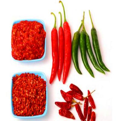 Chine Température ambiante piments rouges séchés longs 100g avec des ingrédients piment à vendre