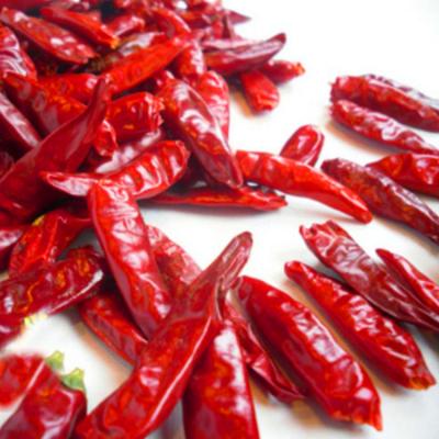 Cina Halal pepe rosso secco senza stele con 14% di umidità massima - luogo fresco e asciutto in vendita