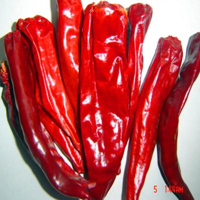Cina Hot Pot / Cucina Sichuan: peperoncini rossi secchi con un forte sapore piccante in vendita