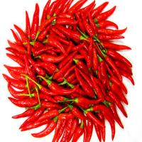Chine Piments rouges séchés au soleil avec humidité garantie 14% Max. à vendre
