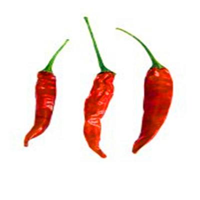 Cina Unità Delight peperoncini rossi secchi 4-7 cm Peso 25 kg/sacco in vendita