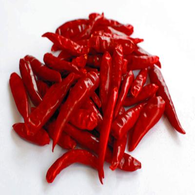 Cina 7 cm di peperoncini rossi secchi senza stele con umidità 12% Massimo peso unitario 25 kg/sacco in vendita