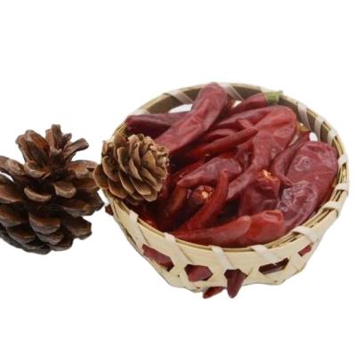 China KOSHER Guajillo Seco Chili Quente 500SHU Com ou Sem Impuridade do Cabeço 0,3% Max Produto à venda