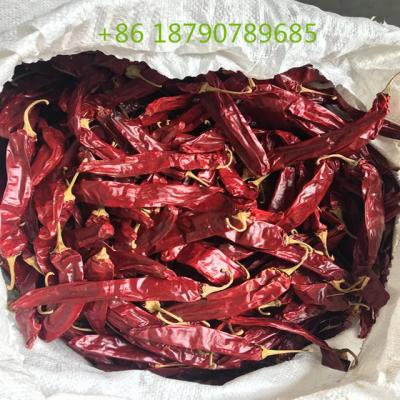 China 7-19cm Dried Sweet Chili Peppers In Natural Red Colour for sale