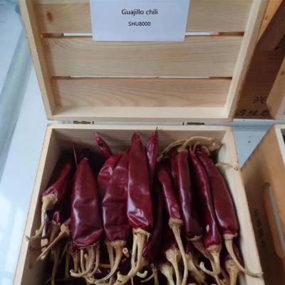 Cina Chili rosso secco di guajillo 10-15 cm Sapore forte di chili piccante in vendita