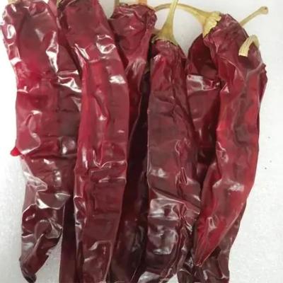 Natürlich roter Süßpfeffer Paprika Nährstoffe mit 1% Unreinheit Getrocknet