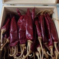 China Dried Stemless Or Cut Stem Cayenne Chili Peppers 12% Max Moisture for sale