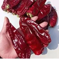 China Pimienta de cayena sabor fuerte y picante aire seco sol seco con bajas impurezas en venta