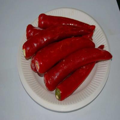 China Premium Indiase chilipoeder - fijngekleurde ASTA 120 Te koop
