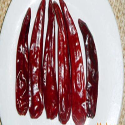 China 12 maanden houdbaarheid Chilipoeder van directe leveranciers van chilipepers Te koop