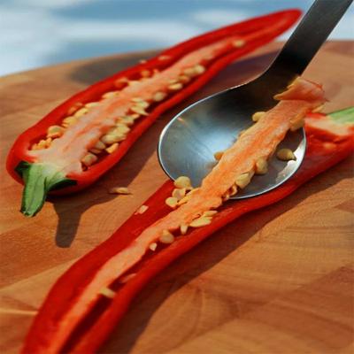 China Flavorful Spicy Chilli Pepper Powder For Culinary Needs for sale
