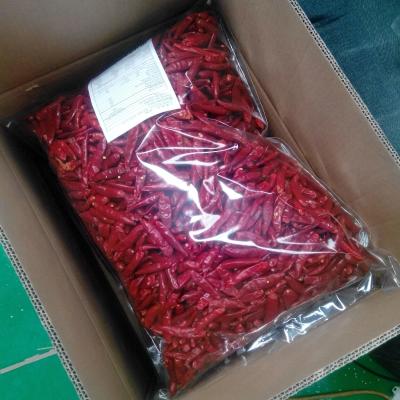 China Dried Round Red Jinta Chilli Pepper  For Cooking for sale