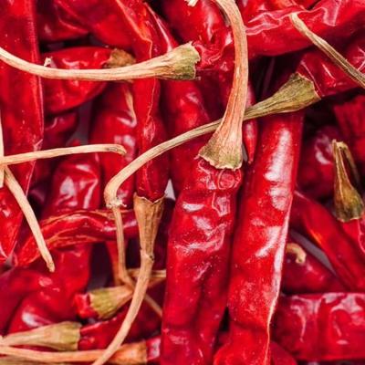 Cina 1% Impurità Sanying Red Chilli Pepper senza stelo con acido acido 10000-20000 SHU in vendita