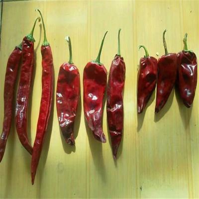 Cina Aggiungi un calcio ai tuoi piatti con peperoni piccanti secchi Ingredienti essenziali di chili in vendita