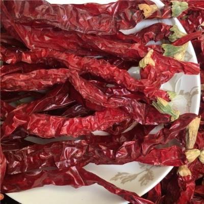 China Experience the Heat of Dried Chili Peppers Strong Pungent Chilli Flavor for Cool And Dry Storage for sale