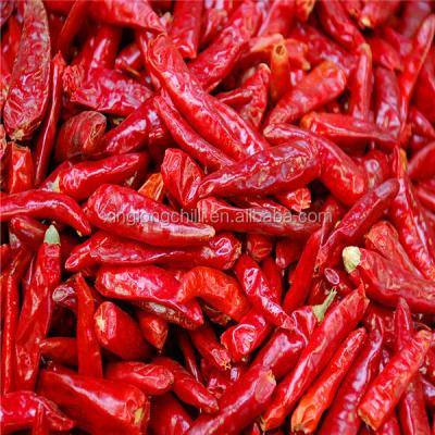 China Red Cayenne Chilli 4-7cm The Perfect Solution for Needs for sale
