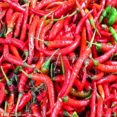 China Raw Processing Type Hot Nutritional Value High In Vitamin C And Antioxidants for sale