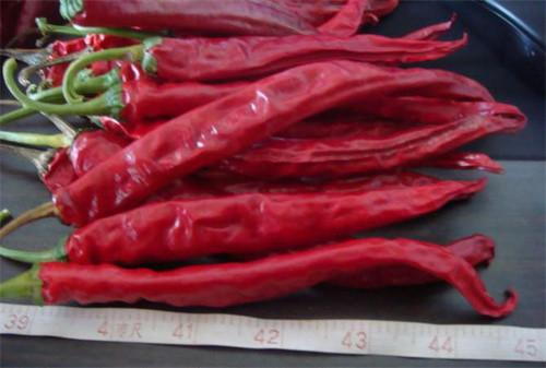 Chilis sec par Erjingtiao acaule a stérilisé les piments entiers piquants