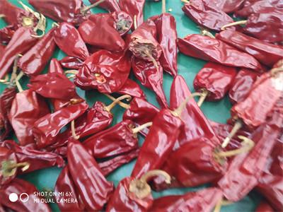 Cina Classifichi un peperoncino di 3000-5000shu Jinta con il gusto dolce in vendita