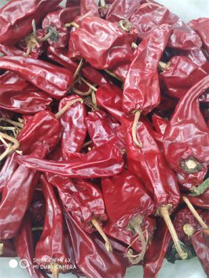 China 5000 SHU Mild Dried Chilies Stemmed sorteren Peulen van de Droge Rode Chili Te koop
