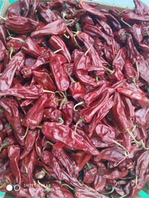 Cina Il nuovo raccolto Yidu ha asciugato la certificazione di HACCP di Chili With Stem in vendita