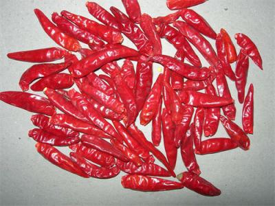 Cina 50000-90000 SHU New Generation Chilli Pepper per lo stufato di castrato in vendita