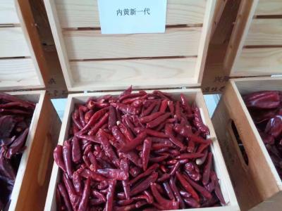 Cina Alto halal rosso secco Stemless piccante dei peperoncini approvato in vendita
