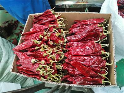 Rood gedroogde paprikapepers kruiden en kruidenpoeder voor voedsel ingrediënten bedrijf