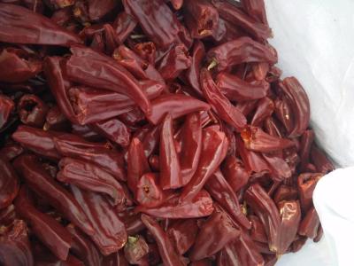 China Sorteer een de Spaanse peperspeper van 3000-5000shu Jinta met Zoete Smaak Te koop