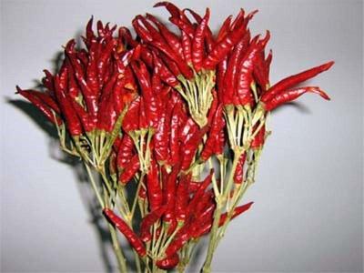 Cina Il cinese Stemless ha asciugato Chili Peppers 819 alto SHU Dried Hot Chillies in vendita