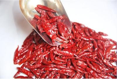 Cina Il cinese Stemless ha asciugato Chili Peppers 819 alto SHU Dried Hot Chillies in vendita