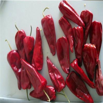 China 5000 SHU Mild Dried Chilies Stemmed sorteren Peulen van de Droge Rode Chili Te koop