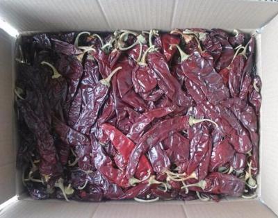 Cina 25lbs Paprika Pepper dolce 130mm ha asciugato Chili Low Scoville dolce in vendita