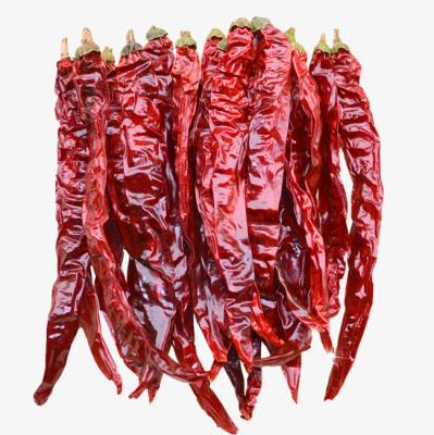 Китай Sundried чили SHU8000 Xian высушили влагу перцев красных чилей 8% продается