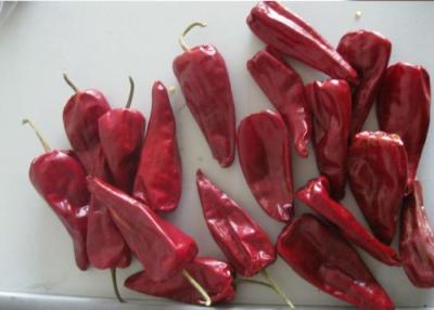 China Stemless getrocknete lange rote Paprikas 3000 SHU Red Chili Pods REIN zu verkaufen