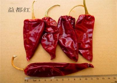 China Stemless getrocknete lange rote Paprikas 3000 SHU Red Chili Pods REIN zu verkaufen