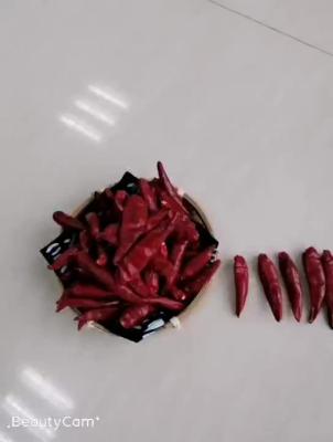 China Heerlijke Rode de Spaanse pepersbarbecue Droog Chili DE Arbol Peppers van Tianjin Te koop