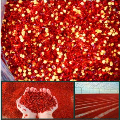 China Ontwaterde Verpletterde Spaanse peperspeper 5mm Rood Chili Flakes 8 Netwerk Te koop