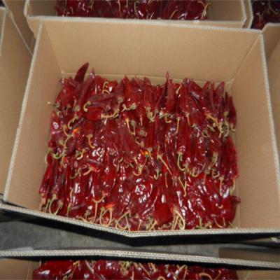 Cina XingLong ha asciugato l'artiglio rosso dell'umidità dei peperoni dolci 8% ha asciugato il peperoncino in vendita