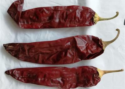 Cina XingLong ha asciugato Paprika Peppers che 16CM ha disidratato Chili Pods rosso in vendita