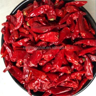 Cina Peperoncino di cayenna rosso disidratato 25000 SHU Without Stem dei baccelli dei peperoncini rossi della pallottola in vendita
