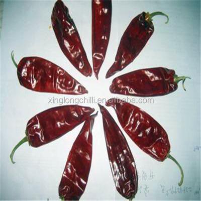 Cina Il nuovo premio del raccolto ha asciugato il peperoncino rosso di Guajillo in vendita