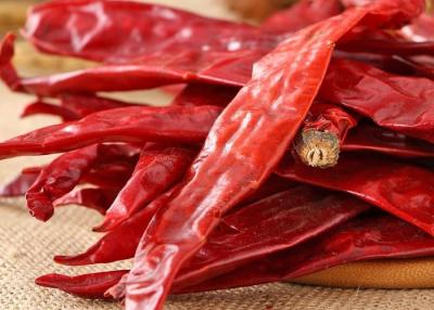 Cina 12cm ha asciugato l'umidità rossa secca pungente di Chili Pods 12% dei peperoni piccanti in vendita
